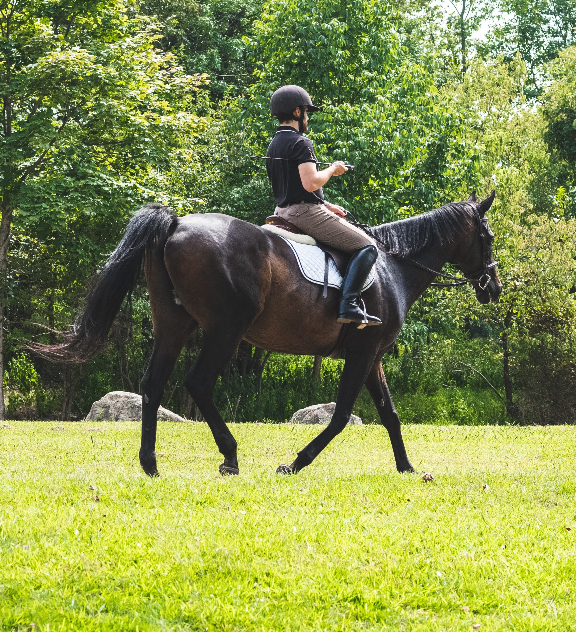 English vs. Western Horseback Riding: What's the Difference?