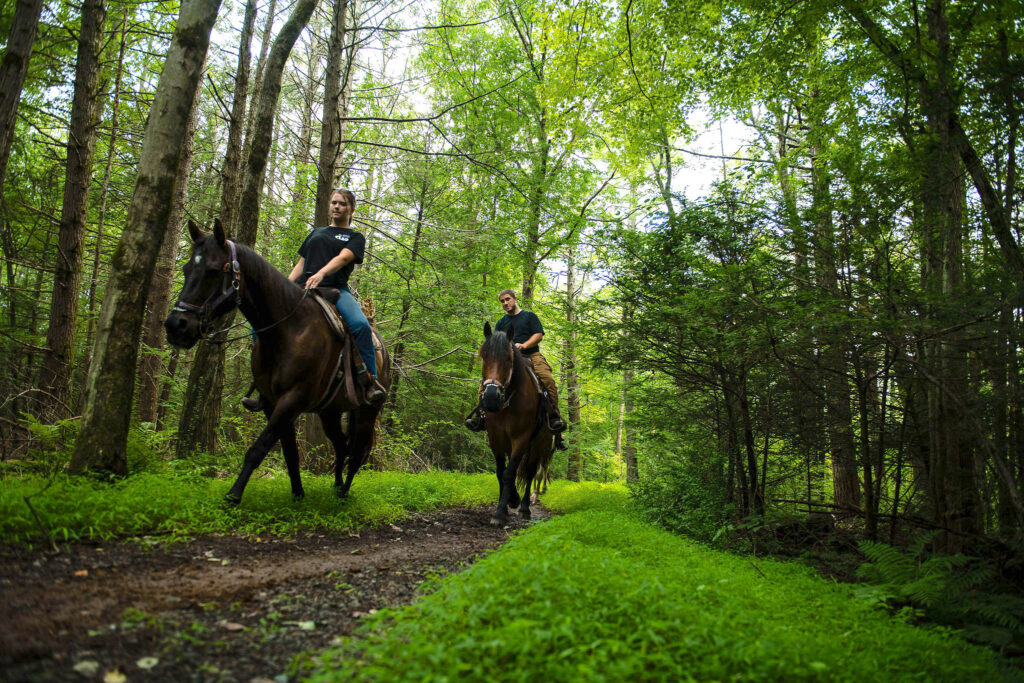 Best Things to Do in the Poconos for Couples - Getaway Guide