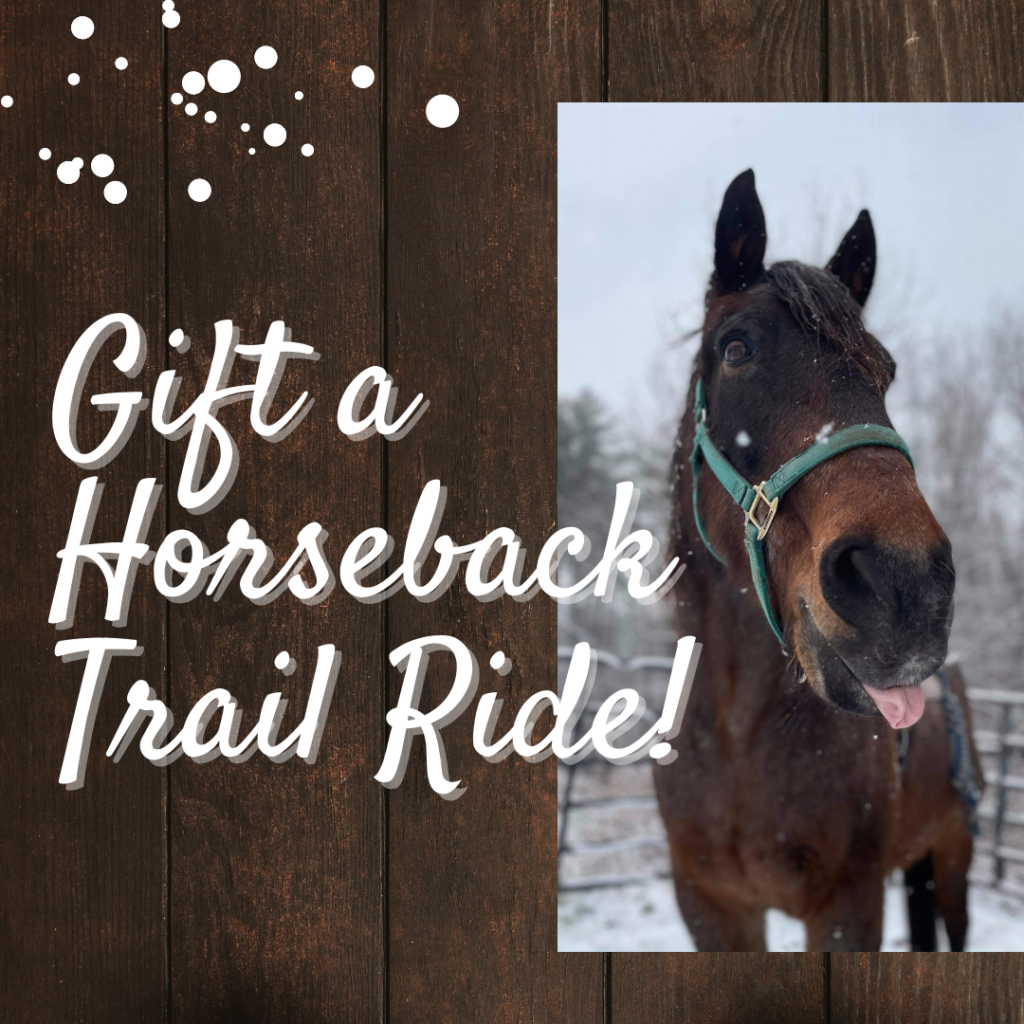 Horseback Riding Gift Certificate – Mountain Creek Stable