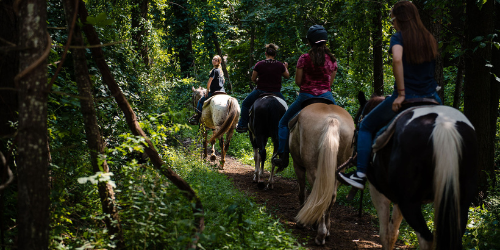 Horseback Trail Riding Near Philadelphia | Mountain Creek Stables