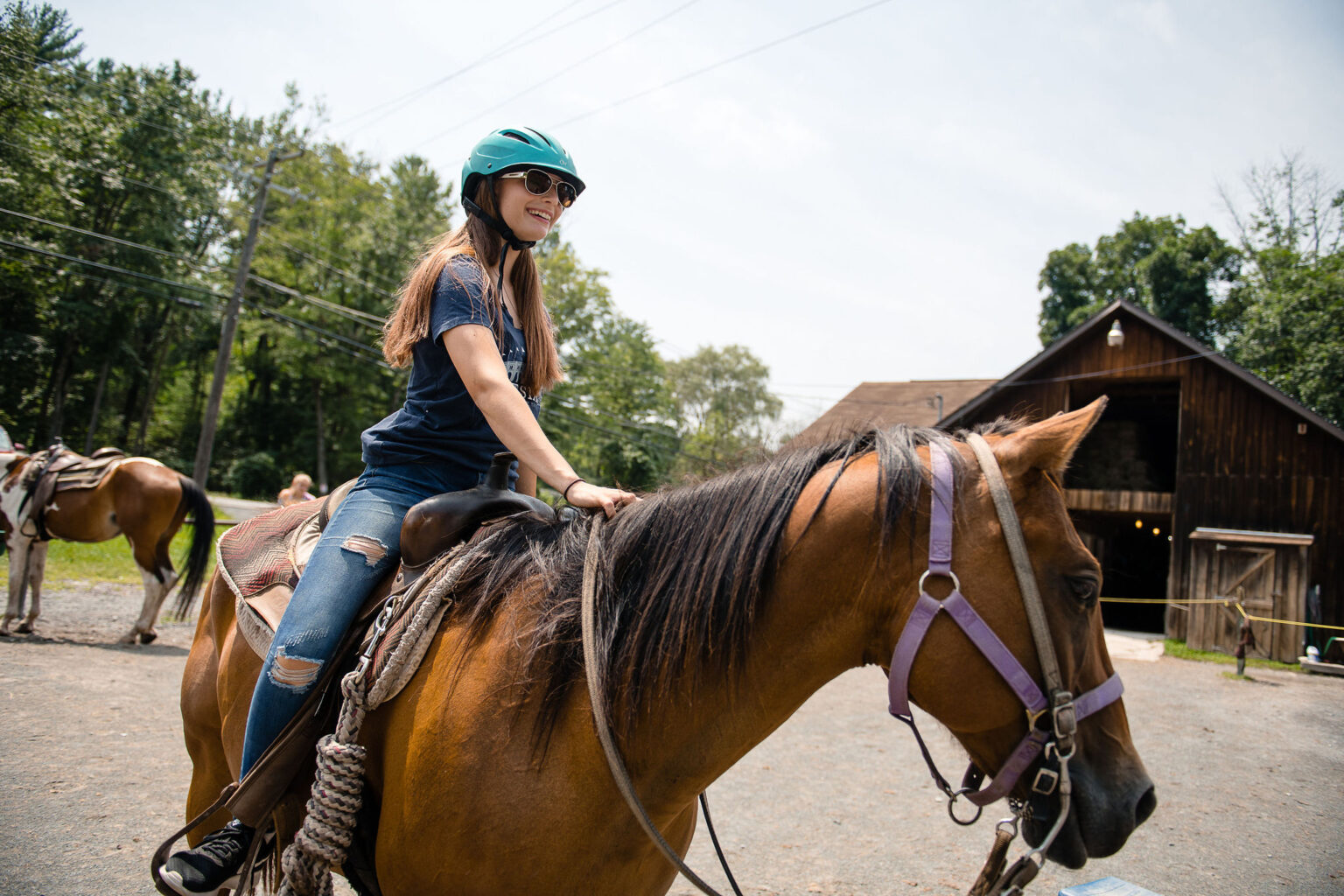 A Beginner's Guide to Horseback Riding