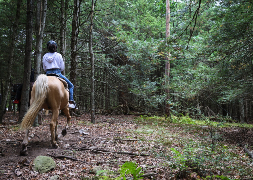Horseback Riding Near Philadelphia - Group Trail Rides